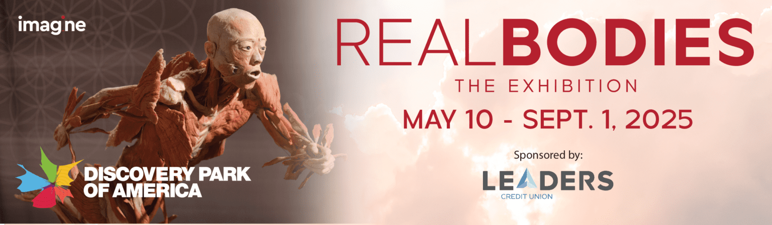 Real Bodies: The Exhibition - Discovery Park of America: Museum and ...
