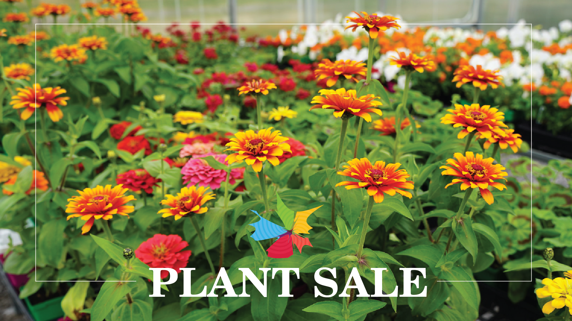Plant Sale - Discovery Park of America: Museum and Heritage Park